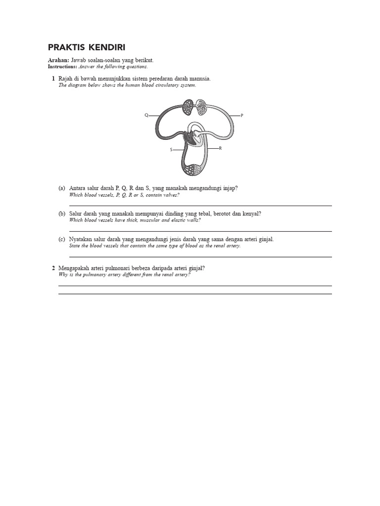 07 M.S. 052 SOALAN | PDF