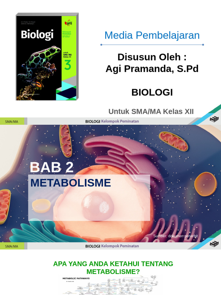 Enzim dan metabolisme Agi | PDF