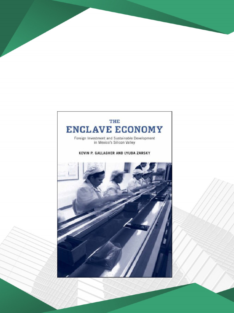 The Enclave Economy Foreign Investment and Sustainable Development in ...