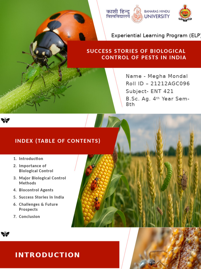 Biological Control Success in India | PDF | Biological Pest Control ...
