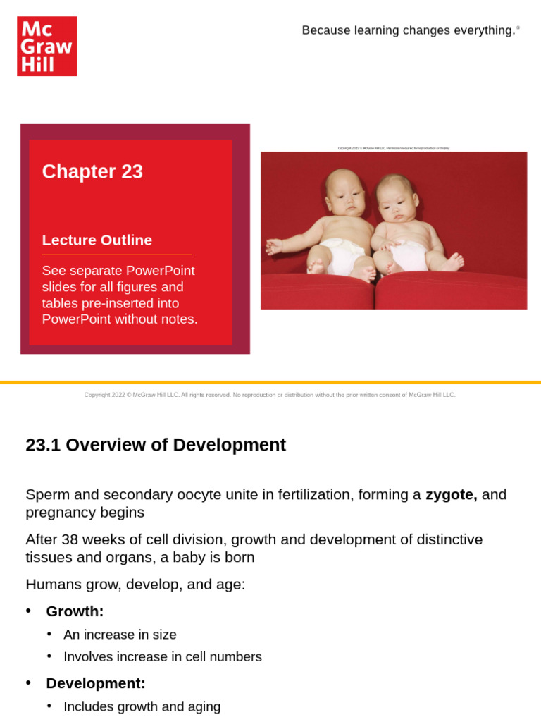 Chapter 23 Pregnancy - Growth | PDF | Fetus | Uterus