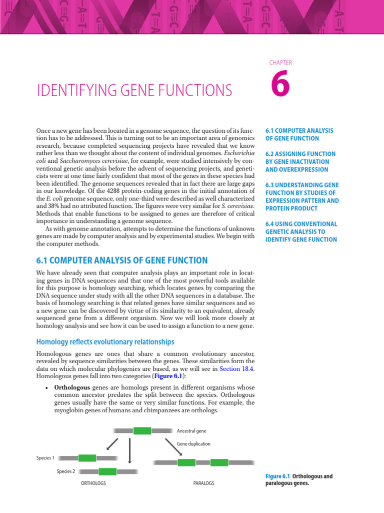 Genomes 4 (C-6, IdentIfyIng Gene FunctIons) | PDF | Gene | Nucleic Acid ...
