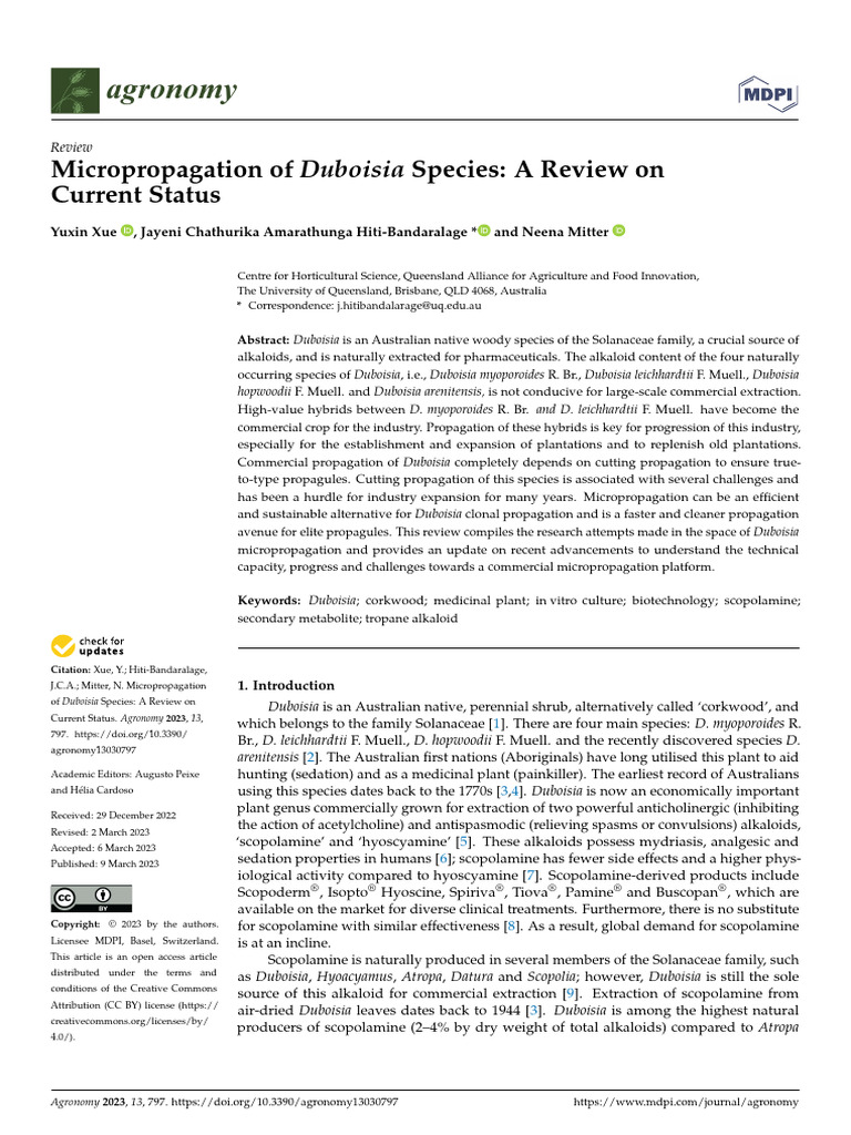 Micropropagation of Duboisia species | PDF | Plants | Biology
