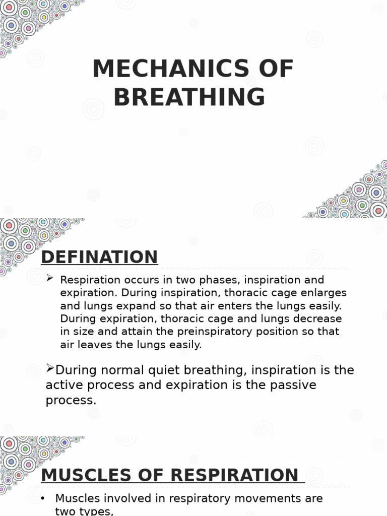 Mechanics of Breathing Explained | PDF | Lung | Exhalation