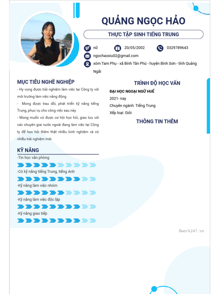 CV Work247 | PDF