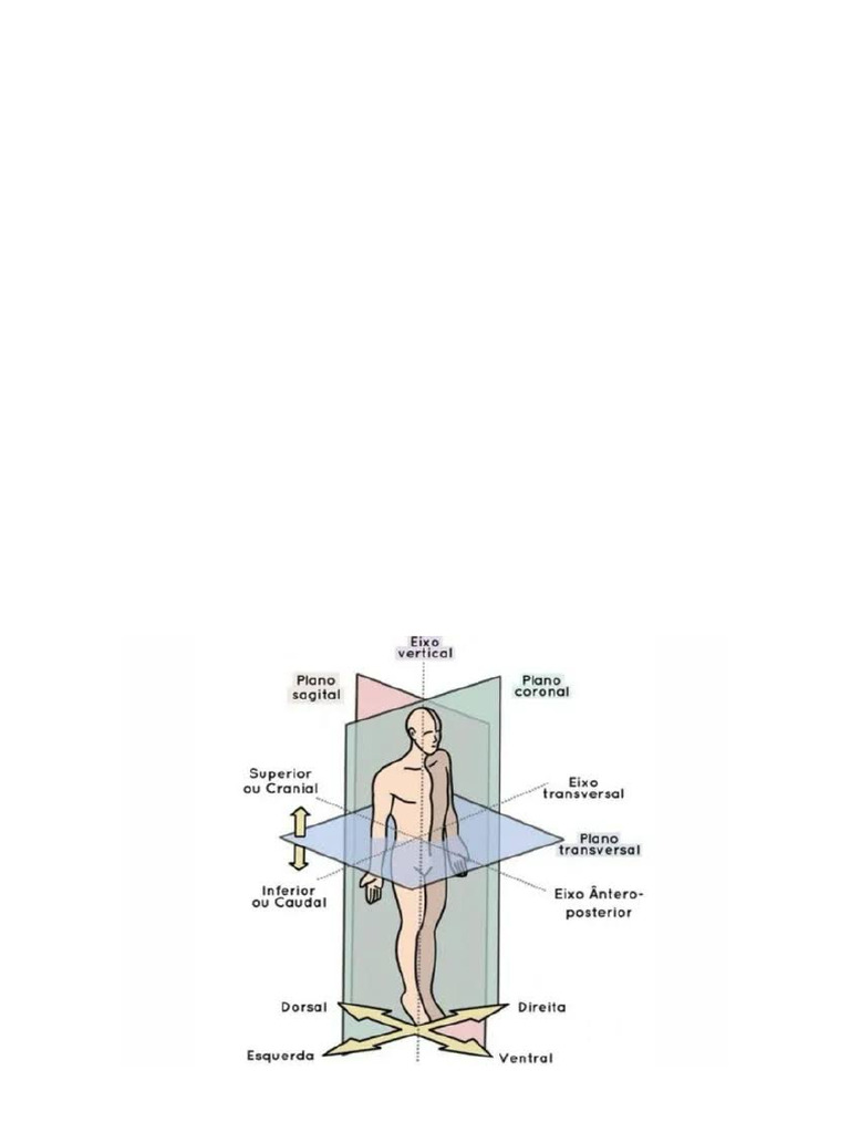 Atividade Planos Eixos Movimentos Completo | PDF