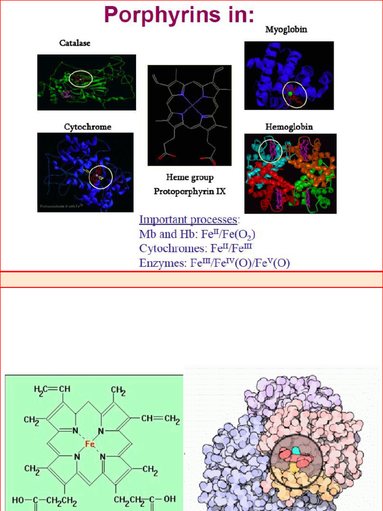 L28 To L37 Bioinorganic Chem Aspects and Nanochem | PDF | Active Site | Physical Chemistry