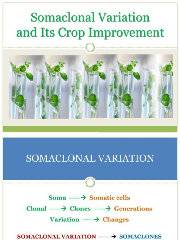 somaclonal-variation-and-its-crop-improvement-248395910 (1) | PDF
