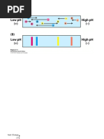 Isoelectric Focusing | PDF | Biochemistry | Chemistry