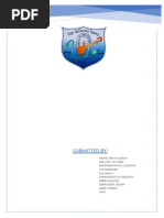 Geological Codes and Abbreviations Guide | PDF | Granite | Rocks