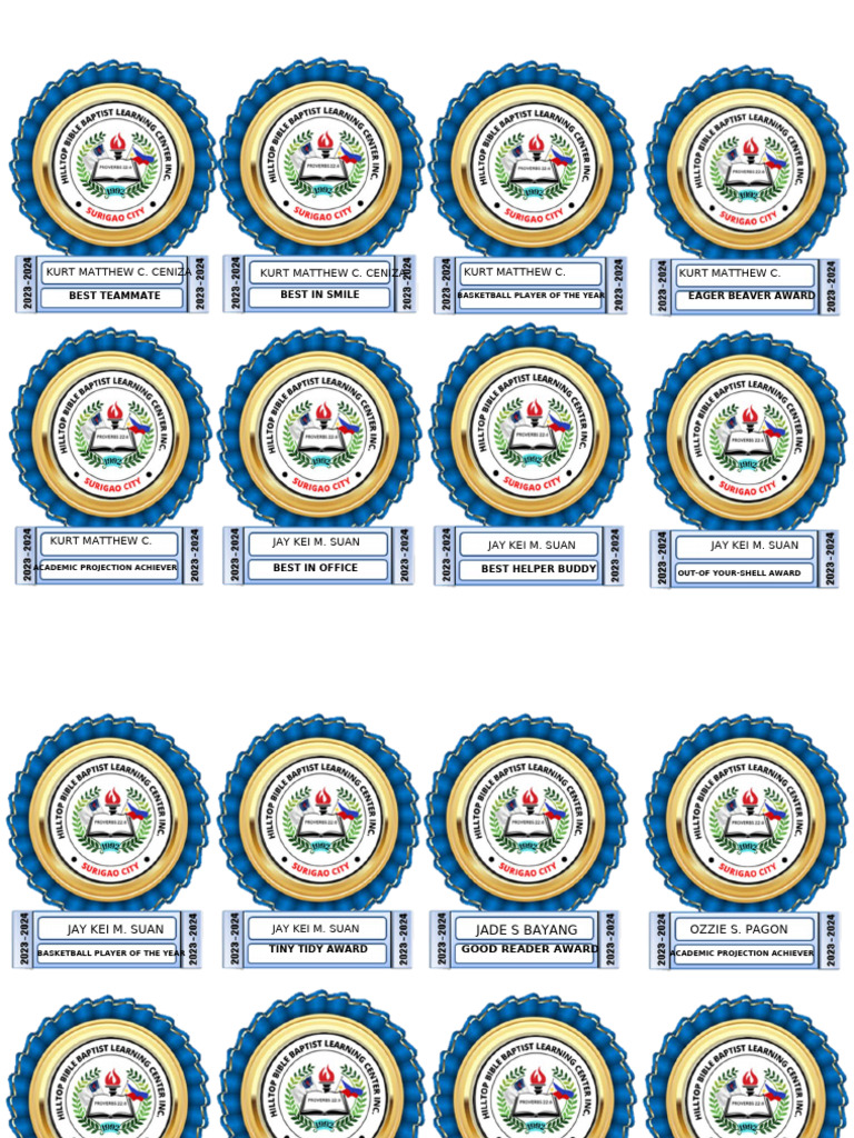 Level 2 Ribbon Awards 2024 | PDF