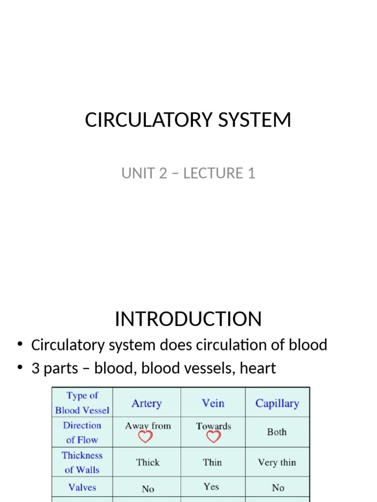 Unit 2 - Lecture 1 -Circulatory System | PDF
