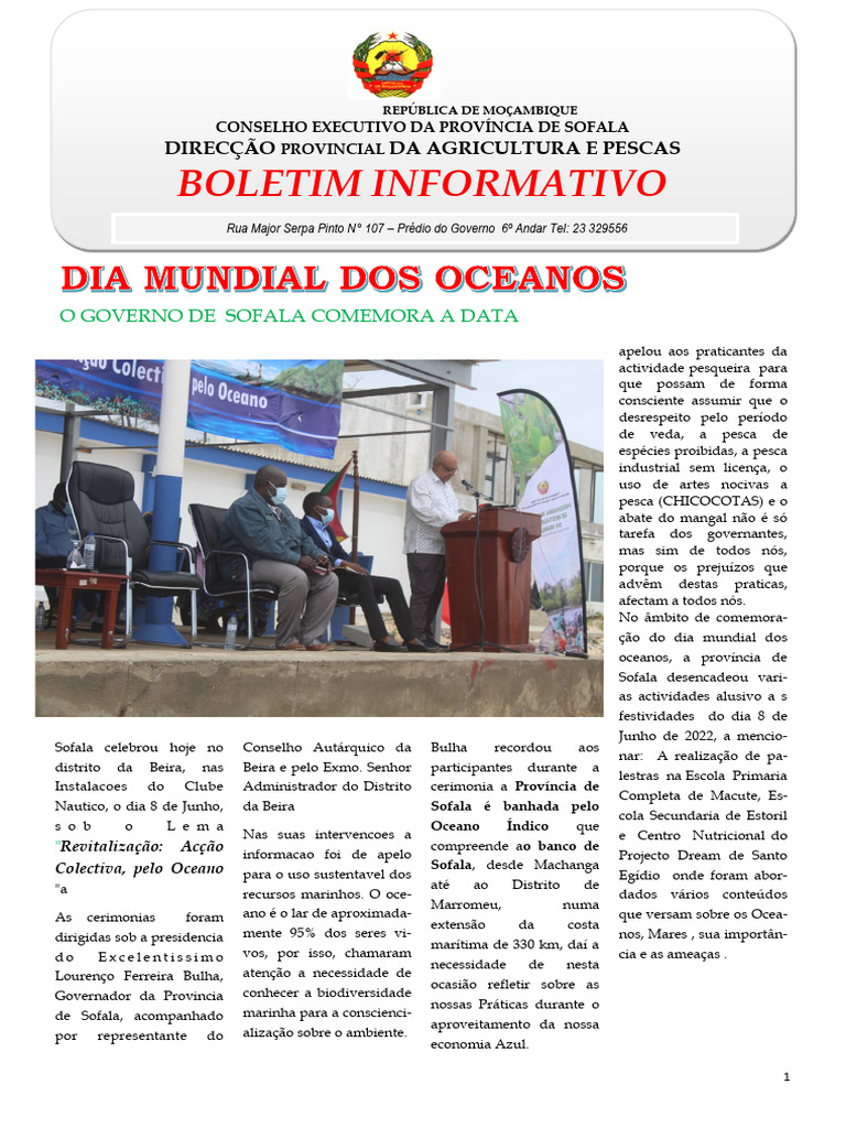 Boletim Informativo DPAP Sofala | PDF