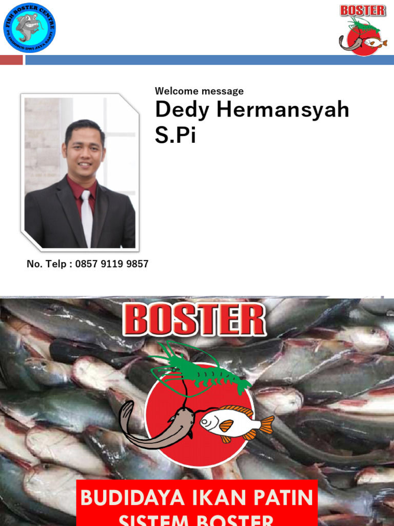 Patin-Fish Boster | PDF