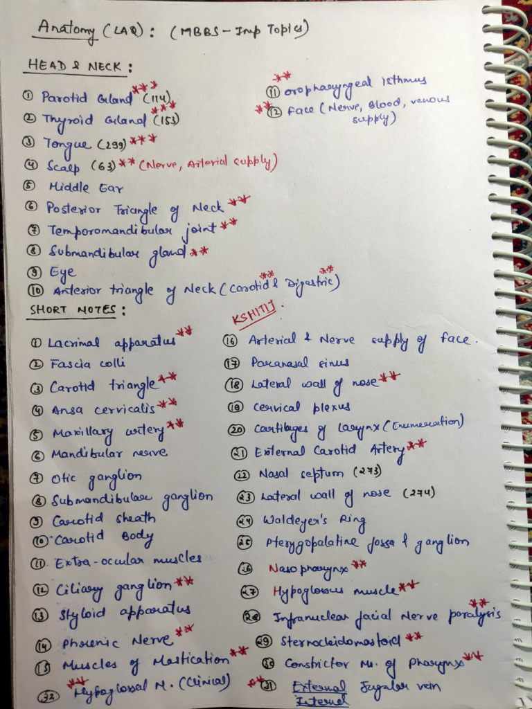 Anatomy Imp Topics Mbbs | PDF