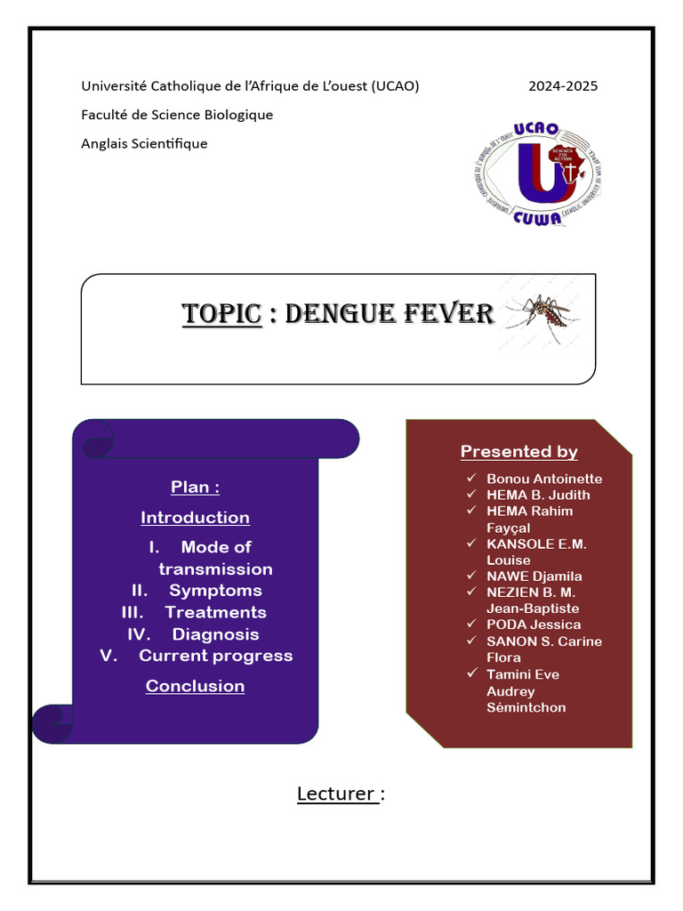 DENGUE FEVER Presentation - 2 Vocab Biblio | PDF | Medical Specialties ...