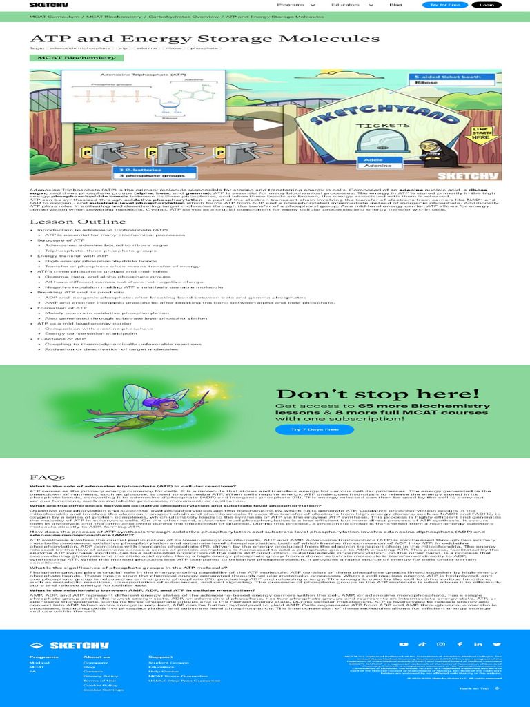 FireShot Capture 6745 - ATP and Energy Storage Molecules - Free Sketchy ...