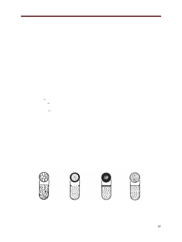 206 Lab Ex - 6 - Bacterial Cultures | PDF | Growth Medium | Bacteria