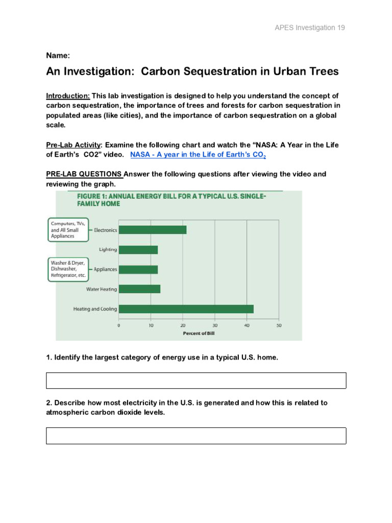 An Investigation - Carbon Sequestration in Urban Trees | PDF | Carbon ...