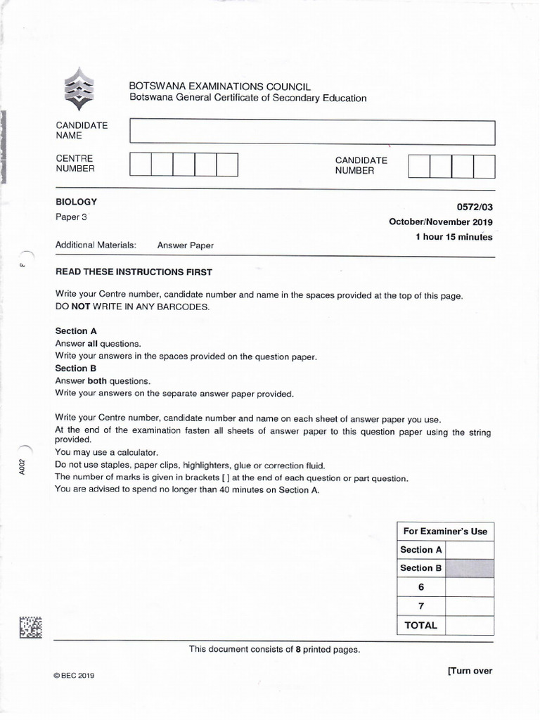 2019 P3 - 104019 | PDF