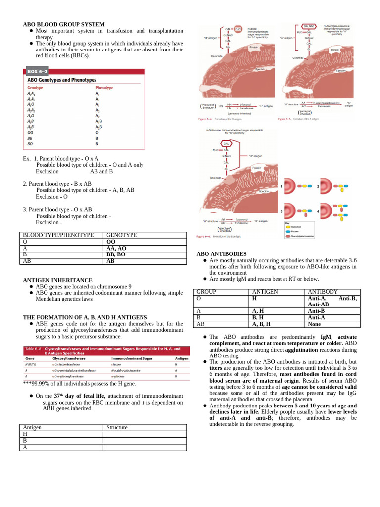 Other Abo Blood Group System | PDF | Blood Type | Antibody