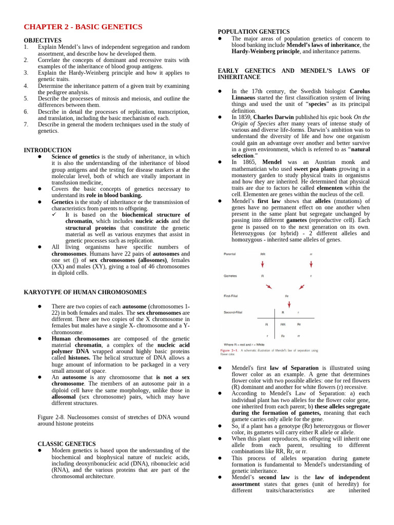 CHAPTER 2 - Basic Genetics | PDF | Dna | Messenger Rna