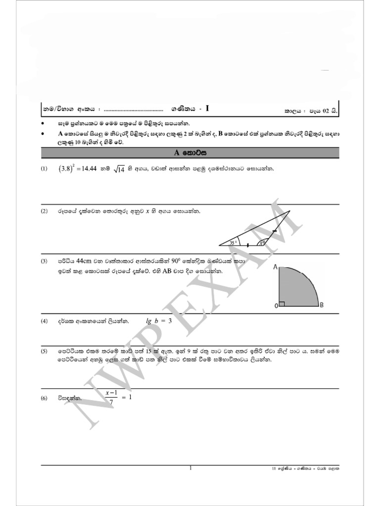 Grade 11 Maths paper ️ | PDF