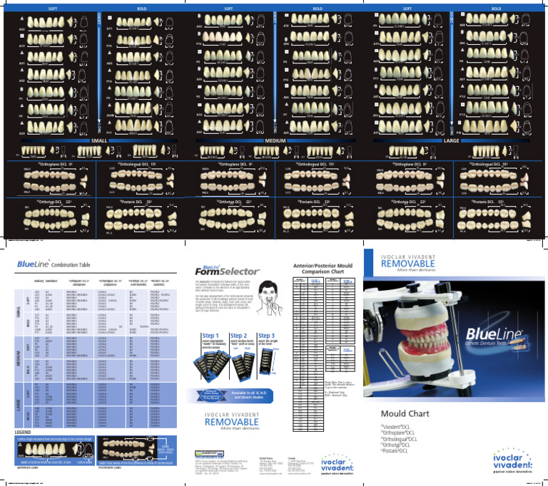Ivoclar Blueline Mould Chart | PDF