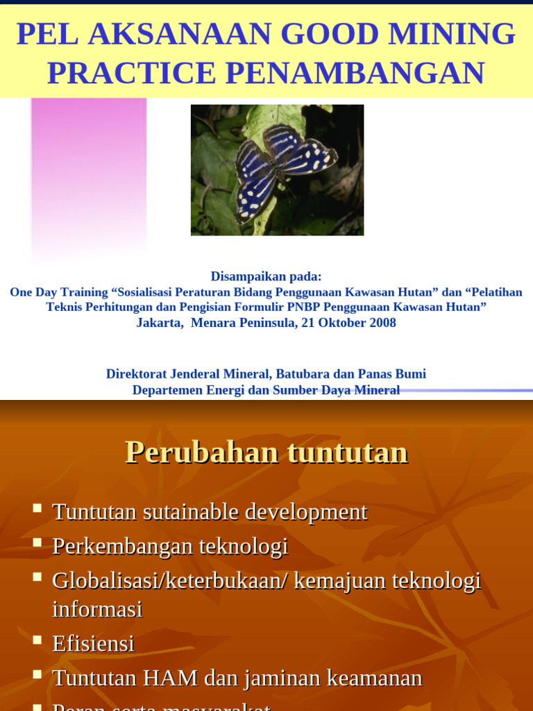 Good Mining Practices-Planologi-view | PDF