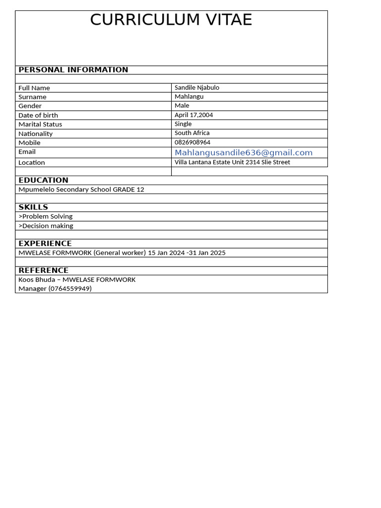 Sandile's CV | PDF