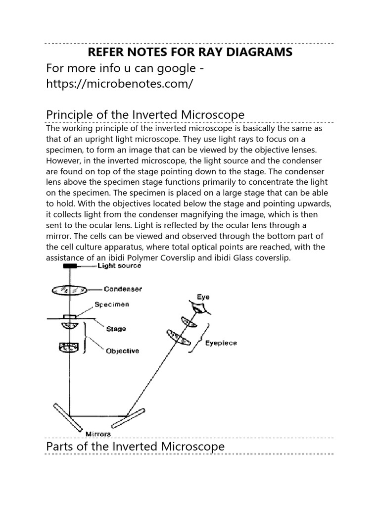Inverted, Confocal, and Fluorescence Microscopes | PDF | Fluorescence ...