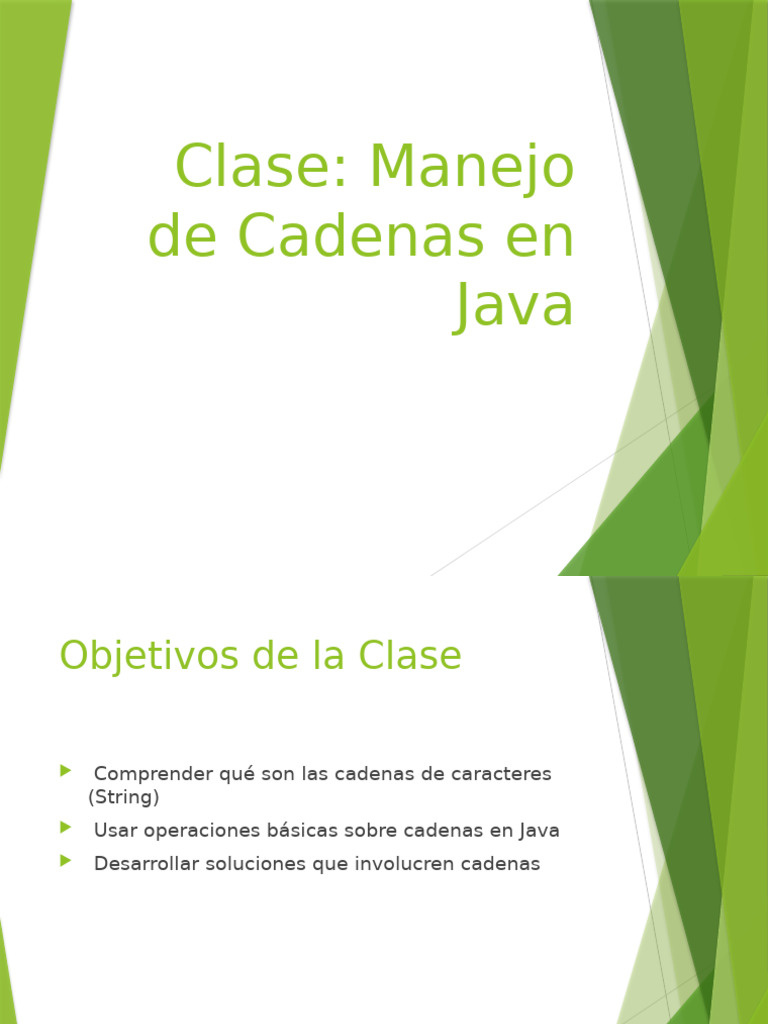 Manejo Cadenas Java Con Conceptos (1) | PDF