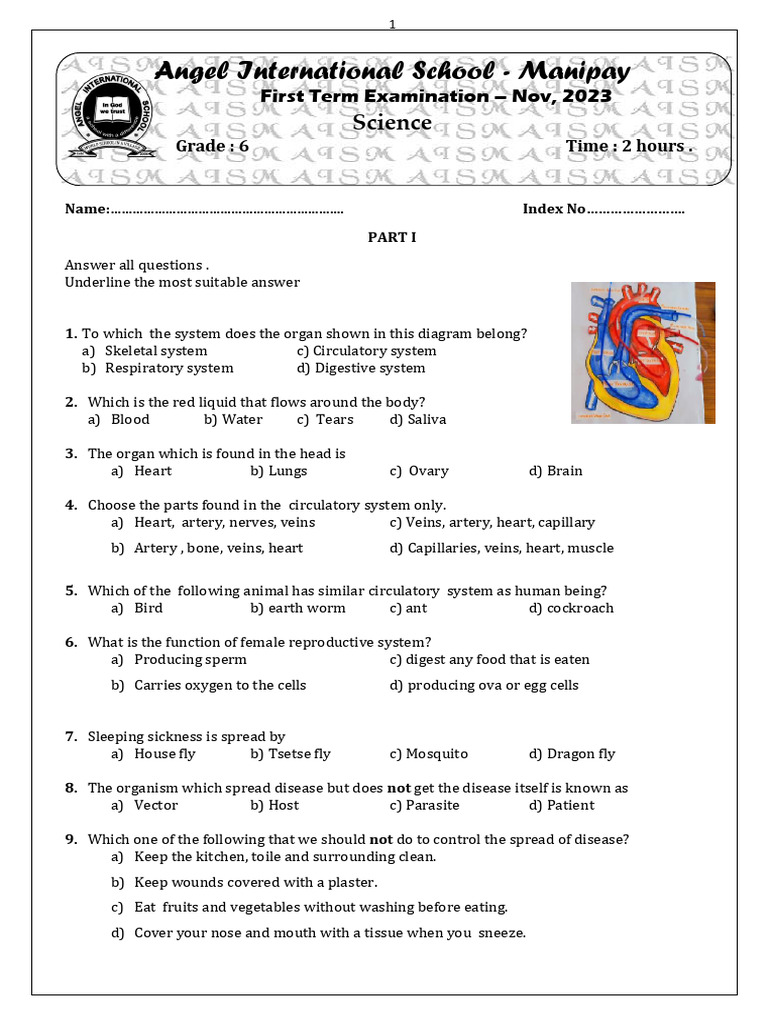 Science 5 | PDF | Circulatory System | Artery