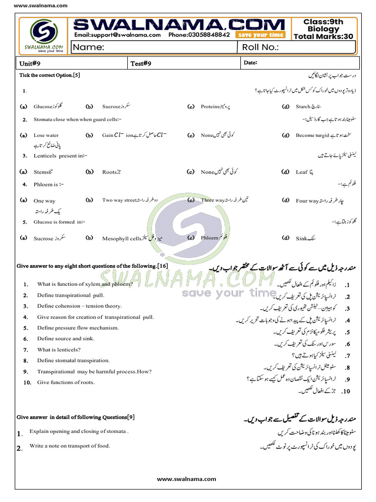 T9 9th Bio ch#9 Marks 30 | PDF