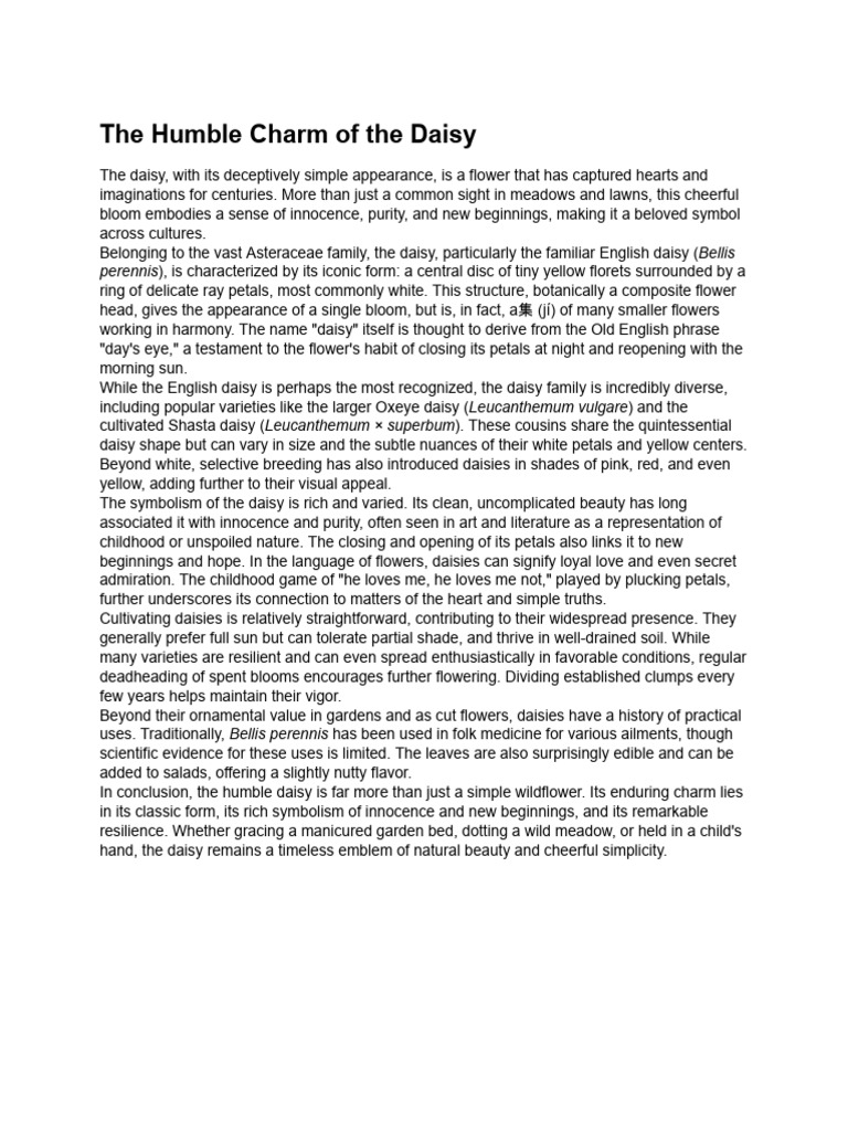 500 Word Essay On Daisies | PDF | Horticulture | Plants