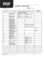 M12 Lifebuoy Checklist | PDF