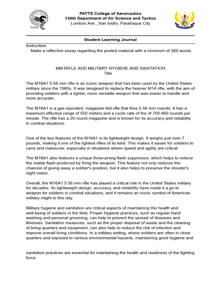 200 Format For Reflection Paper | PDF | Rifle | Hygiene