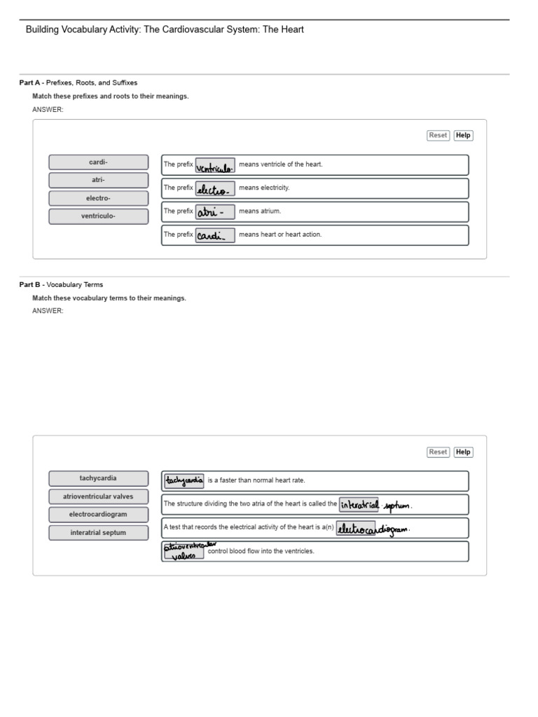 1.1 Assignment - (A-B) MasteringAandP - Building Vocabulary Activity ...