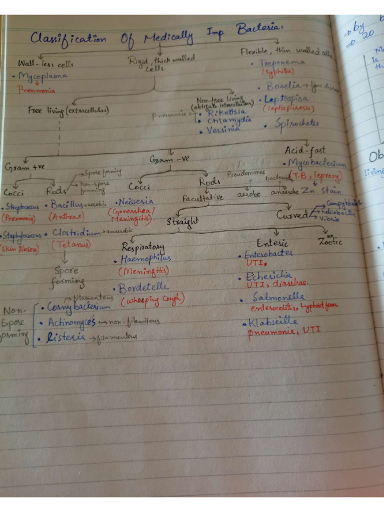 Classification of Bacteria | PDF