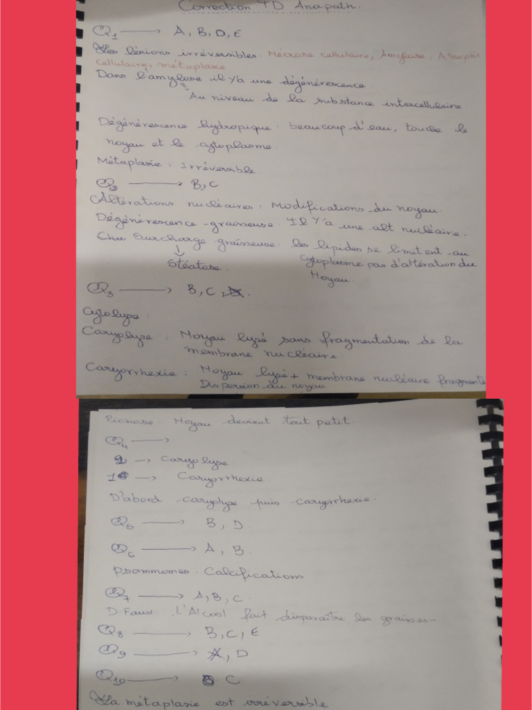 Correction TD Anapath | PDF