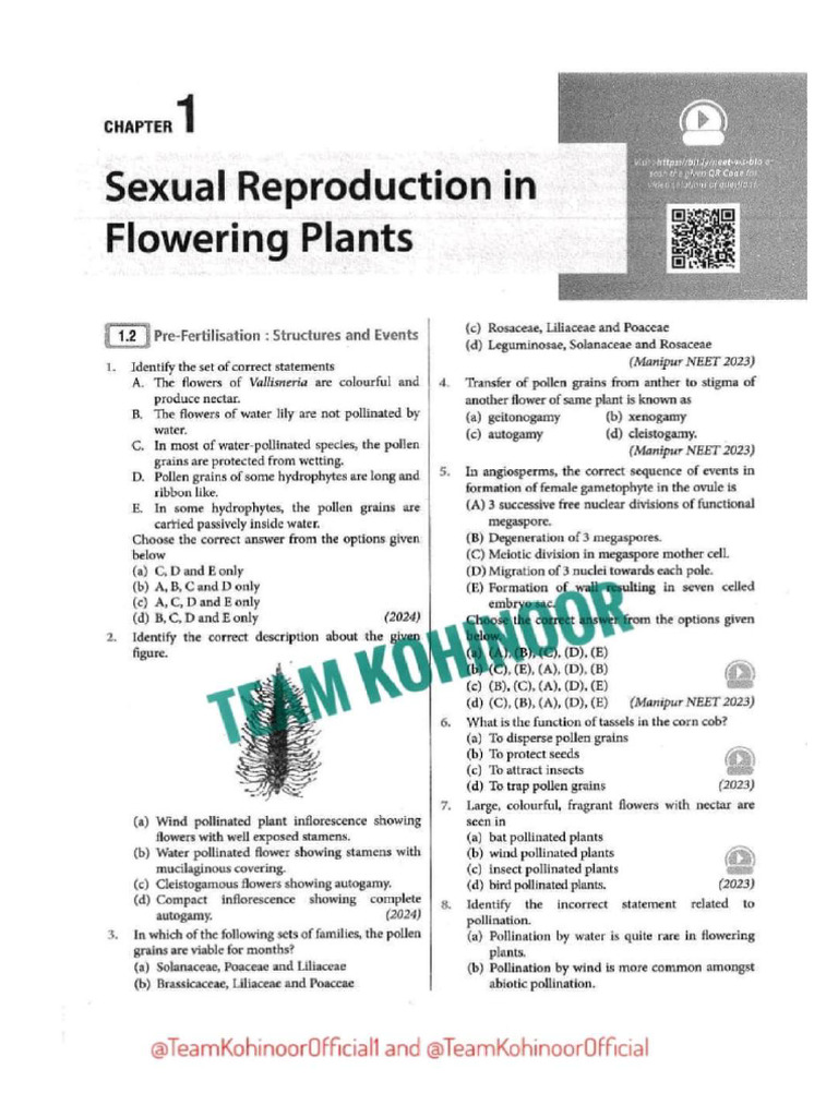 Chapter 1 Compressed | PDF