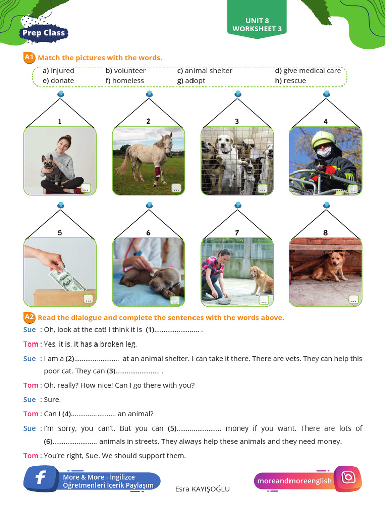 Prep Class - Unit 8 - Worksheet 3 | PDF | Zoology
