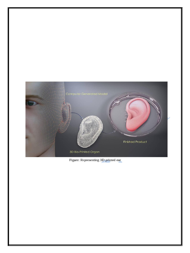 EAR PDF | PDF | Tissue Engineering | 3 D Printing