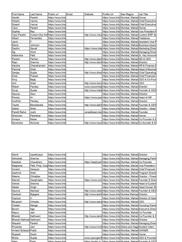 Erp Sales Nagivator - Data Extractor | PDF | Corporate Governance