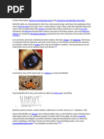 Classroom Butterfly Camouflage Activity | PDF | Camouflage | Mimicry