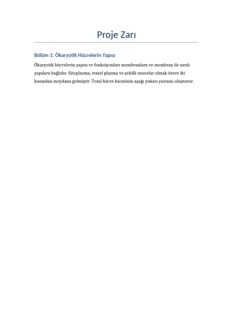 Proje Zari Bolumler | PDF