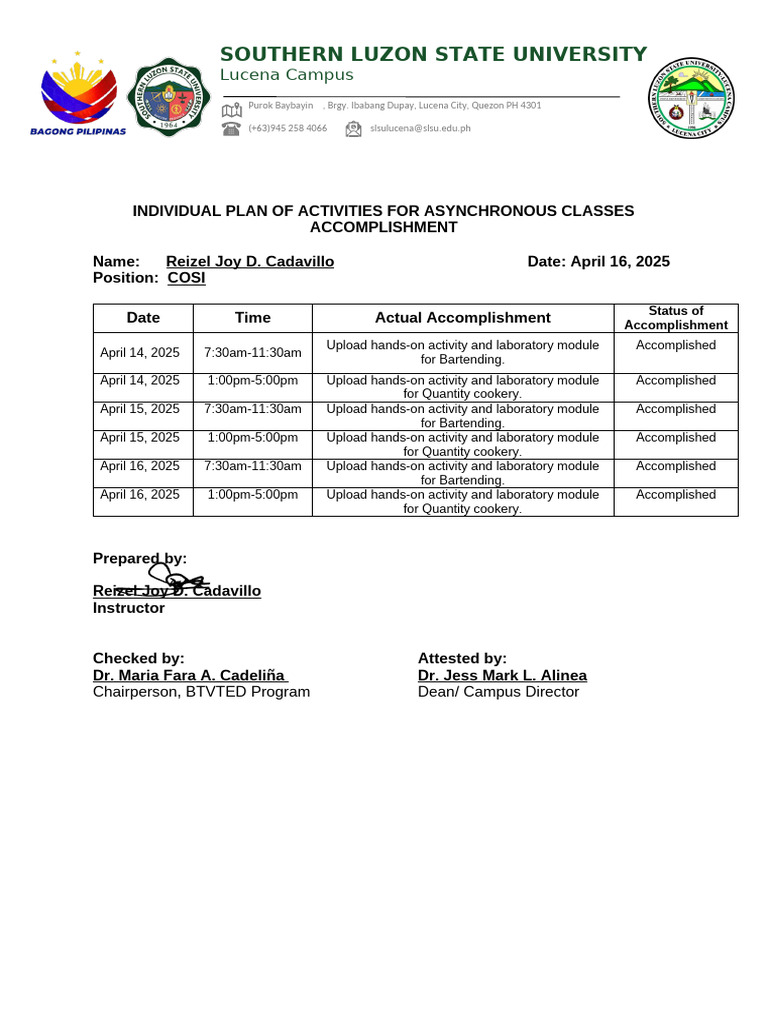 Accomplished Individual Plan of Activities | PDF