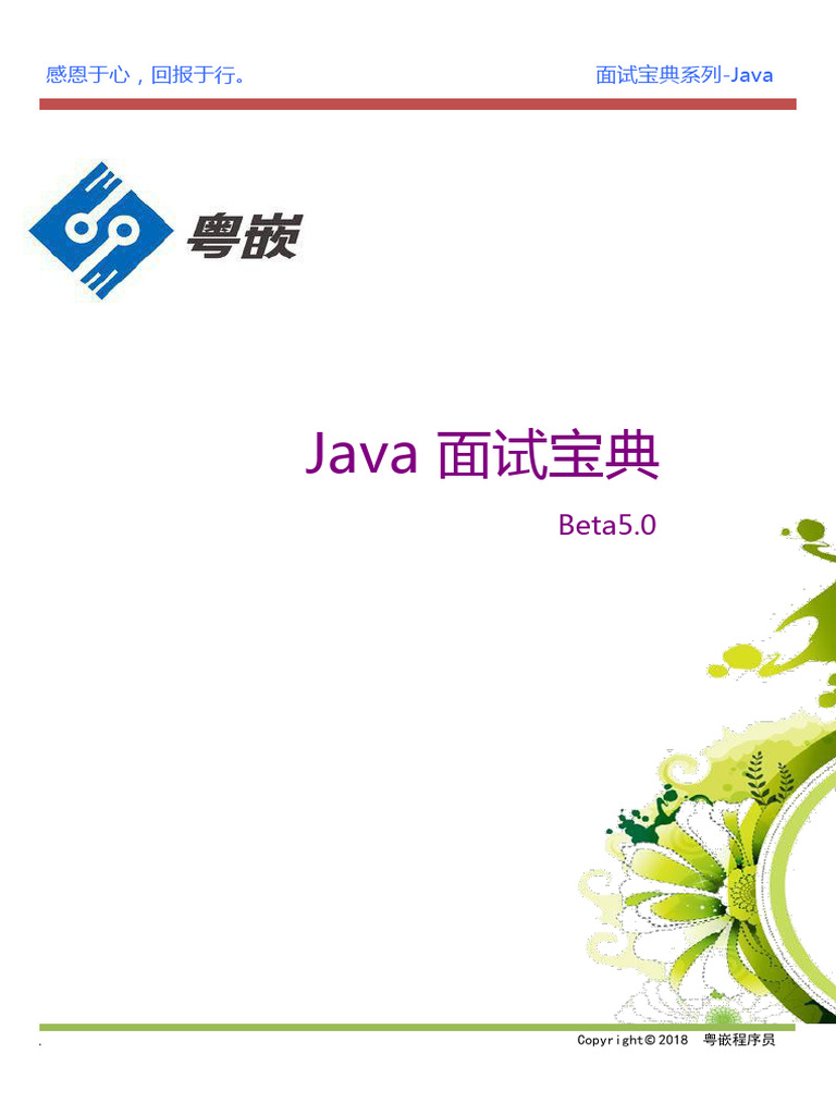 Java面试宝典Beta5 0 | PDF
