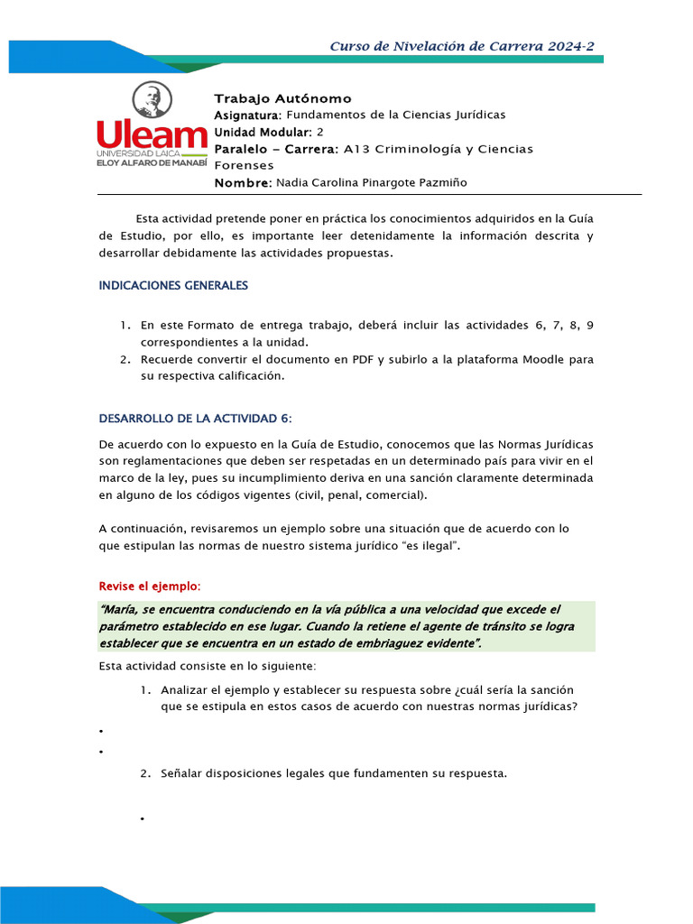 Formato Entrega TA2 2024 - 2 | PDF | Asesinato | Derecho penal