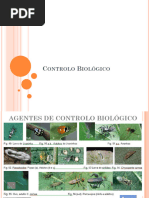 Tipos de Controle Biológico na Agricultura | PDF | Controle de pragas ...
